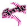 Synergy – Synergy Softball Organization